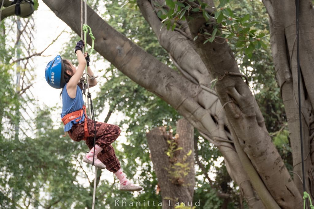 BIGTrees Project : บิ๊กทรี ไม่ใช่เรื่องของต้นไม้ใหญ่ แต่เป็นเรื่องใหญ่ของต้นไม้ รุกขกร - บทความ ...